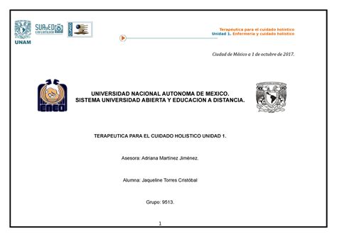 enfermeria par el Cuidado Holistico Terapéutica para el cuidado