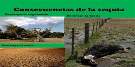 Sequ A Efecto A Nivel Mundial Iagua