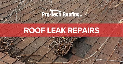 How To Fix A Leaking Roof 6 Simple Repairs When To Call A Pro