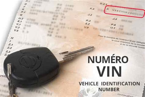 Haut 76 Imagen Numero De Chassis Sur Carte Grise Fr Thptnganamst Edu Vn
