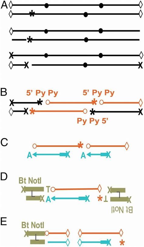 Pnas Medsci Cn