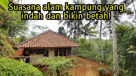 Suasana Damai Di Desa Aktivitas Di Kampung Terpencil Di Tengah Hutan