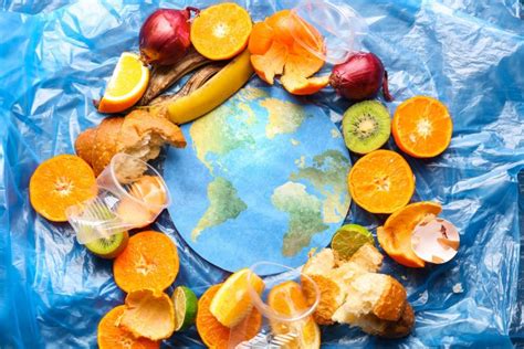 Rapporto Onu Il 17 Del Cibo Prodotto Viene Sprecato FOOD