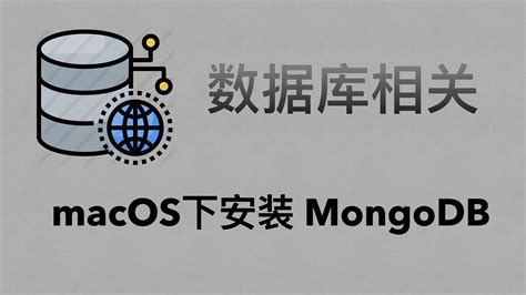 2020年最新mac os下安装 mongodb database chihokyo blog 旺财的博客