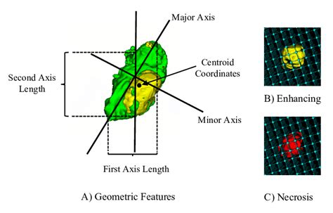 a geometrical features extracted from the segmentation b fractal download scientific