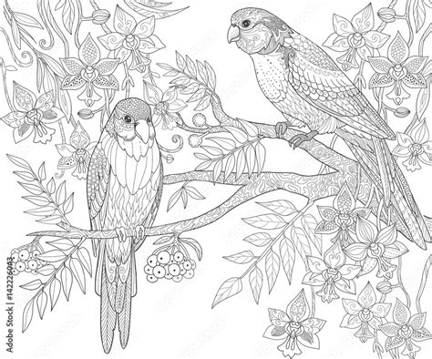 Parrots Sit On A Branch In The Jungle Adult Coloring Book Page Doodle