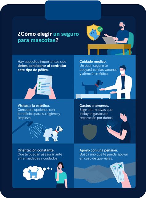 Cómo elegir un seguro para mascotas BBVA México