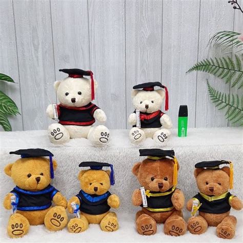 Jual Boneka Bear Wisuda 16cm 5 Boneka Toga Boneka Beruang Teddy Bear