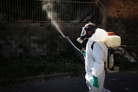 RS Tem Mais Duas Mortes Por Dengue Confirmadas Em 2023 Diz Secretaria