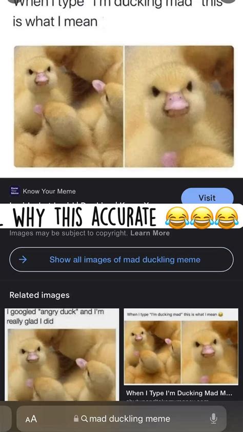 Ngl Why This Accurate Know Your Meme How To Know You Meme