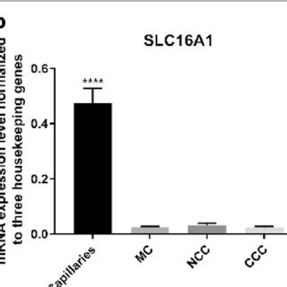 Efflux Transporters A Quantitative MRNA Expression Levels Of ABCB1
