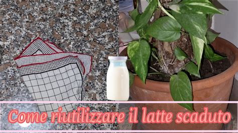 Come Riutilizzare Il Latte Scaduto Due Metodi Super Green Mammastyle