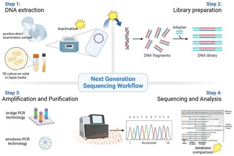 Pathogens Free Full Text The Role Of Next Generation Sequencing
