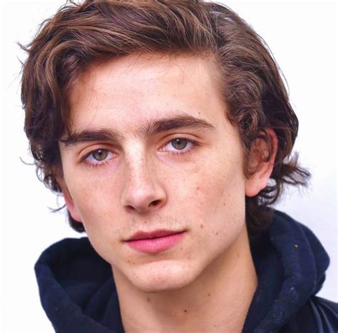 Pin By Maya Chalamet On My Timmi