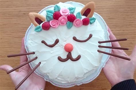 Gâteau en tête de chat