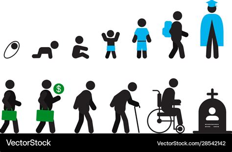 Human Circle Of Life