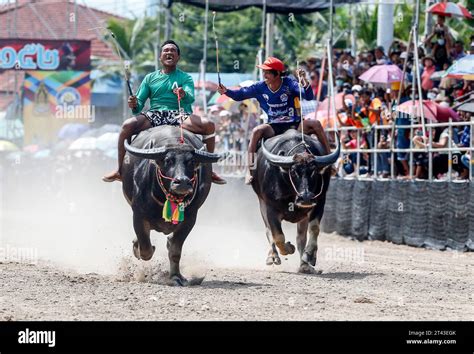 Los jinetes compiten en el festival anual de la carrera de búfalos de