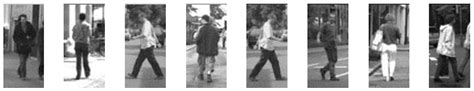 sensors free full text robust pedestrian classification based on hierarchical kernel sparse