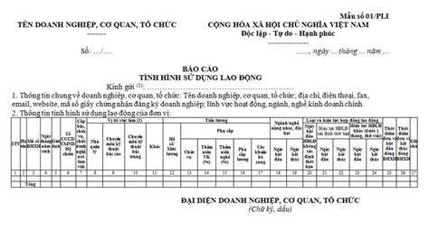 Hướng dẫn 02 cách nộp báo cáo tình hình sử dụng lao động 2022 MIFI