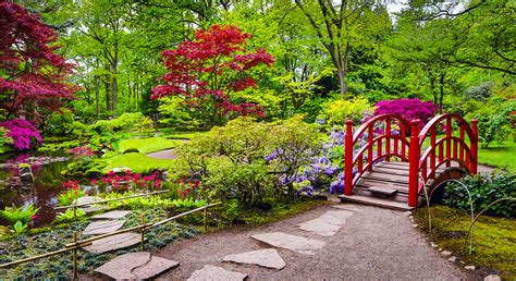 Top 109 Imagen Jardin Japonais Maison Fr Thptnganamst Edu Vn