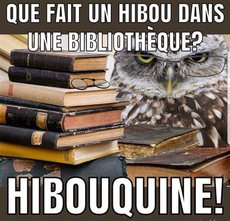 Que fait un hibou dans une bibliothèque Archives Humour France fr