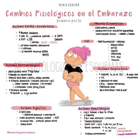Cambios fisiológicos en el embarazo Primera parte Neonatología en