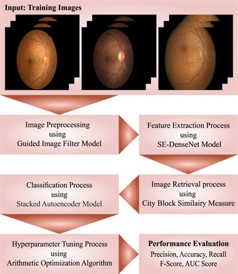 figure 1 from arithmetic optimization with se densenet based image retrieval and classification