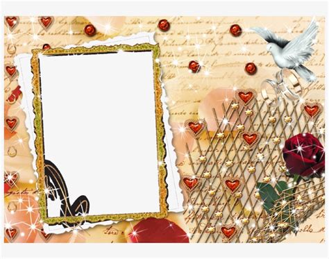 Photo Editor Frames Infoupdate Org