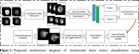 figure 1 from deep learning and improved particle swarm optimization based multimodal brain