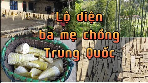 04 Lộ diện ba mẹ chồng người Trung Quốc lên núi đào măng Cuộc sống