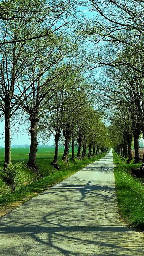 Pin de Junho Yun em 그림 em 2024 Lindas paisagens 1 Lugares