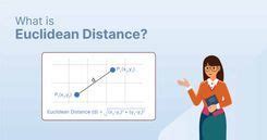 Euclidean Distance Advantages Limitations BotPenguin
