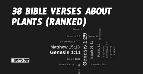 38 Bible Verses On Plants Ranked