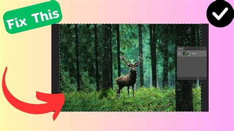 How To Fix Generative Fill Not Showing In Adobe Photoshop Youtube