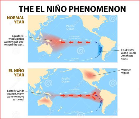 El Nino 2024 Update Lora Marlee