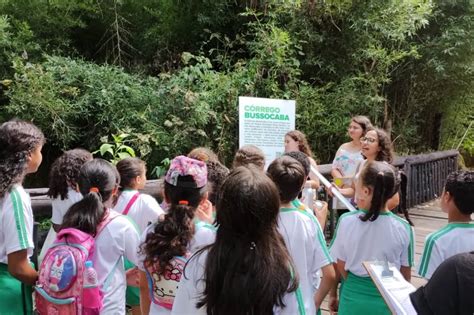 Cientistas Da Usp Participar O Da Semana De Meio Ambiente Em Osasco
