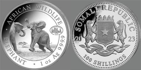 100 Shillings Silbermünze Somalia Elefant 2023 Privy Mark 1 oz 999