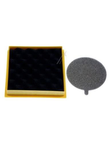 Filtre Pr Moteur Kit Filtre Hepa Sortie Moteur Pour Aspirateurs Hoover