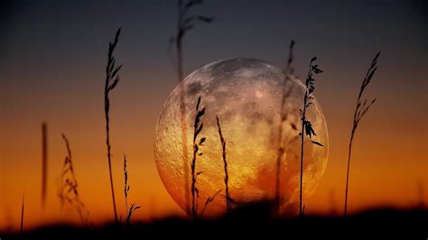 El Top Fondos De Luna Abzlocal Mx