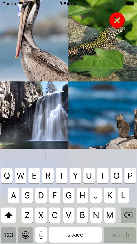 swift the ui search bar disappears when clicked possibly nslayoutconstraint issue stack