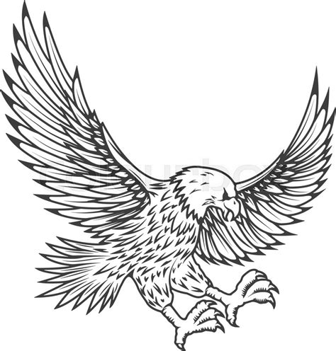 Adler Klassisch Darstellung Vektorgrafik Colourbox