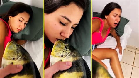 Painful Fail Compilations Funny Fails Compilation 2023 Instant