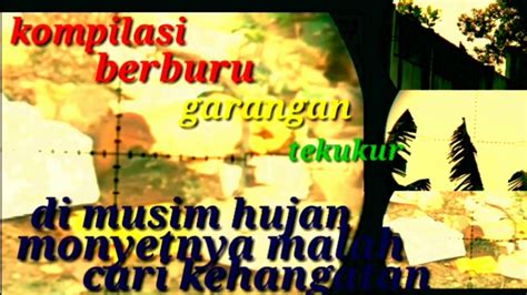 Sepecial Berburu Garangan Tekukur Dan Ruak Ruak Youtube