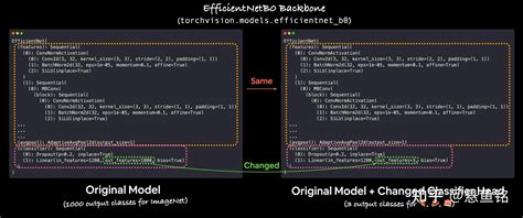 pytorch 迁移学习 知乎