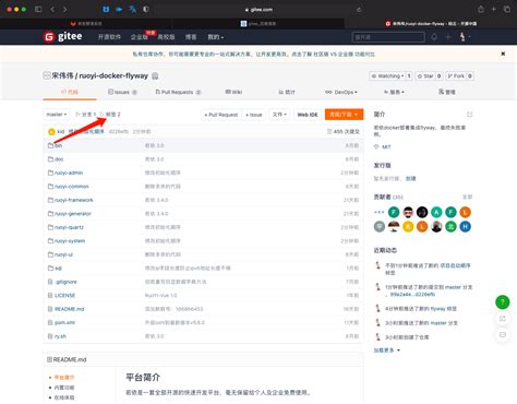 手把手教你docker部署若依项目（后端服务） 若依集成flyway 先执行 csdn博客