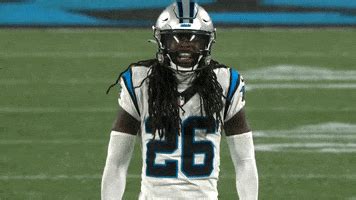 Carolina Panthers Gifs On Giphy Be Animated