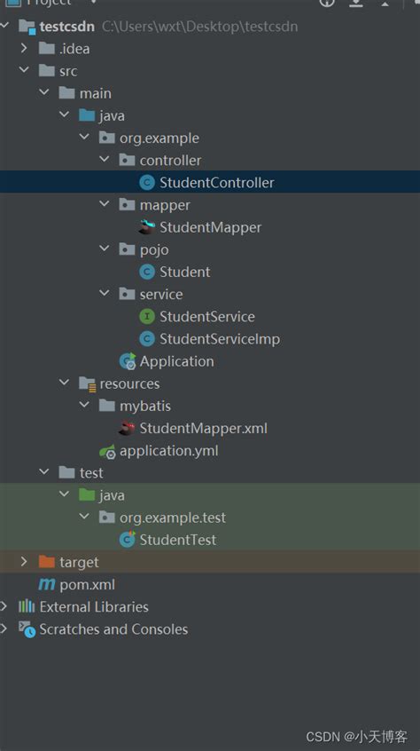 springboot mybatis入门案例（test类测试） springboottest 测试mybatis csdn博客