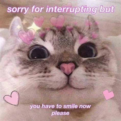 Flirty Memes To Send To Your Significant Other When You Are Bored