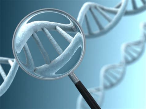 Types Of Genetic Testing