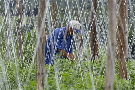 El Ministerio de Agricultura Pesca y Alimentació Agromaquinaria es